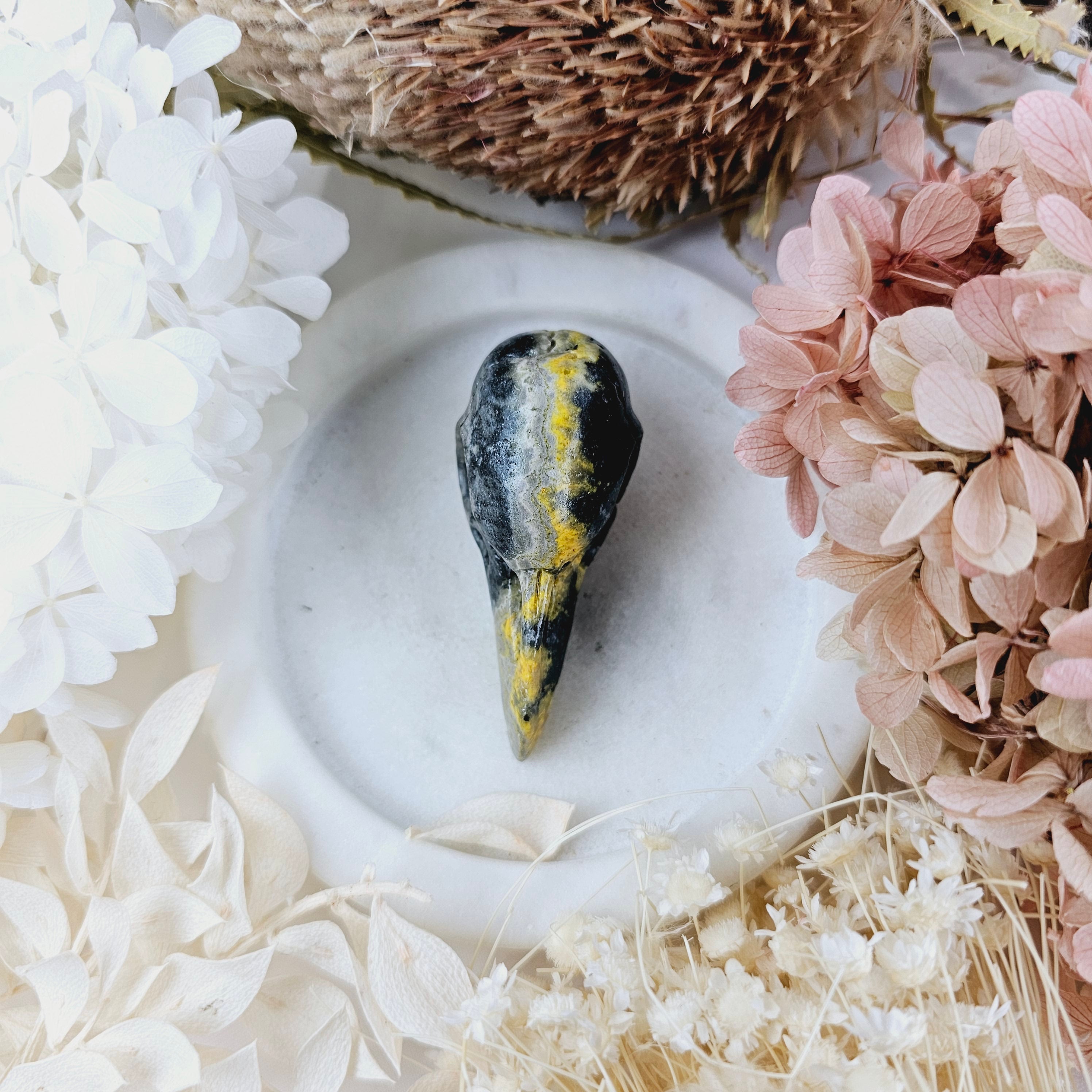 Bumble Bee Jasper Raven Skull – Pure Lightness